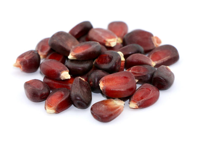 Jimmy Red Corn (Whole Grain) – North Georgia Still Company