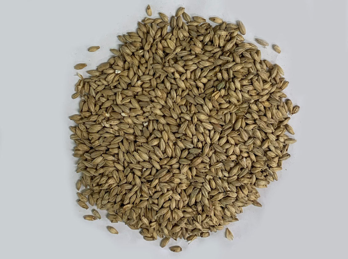 6-Row Distillers Malt – North Georgia Still Company